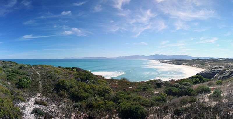 Reserves | Walker Bay Nature Reserve
