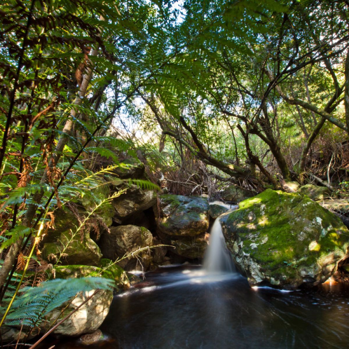 Home | Land and freshwater ecosystems
