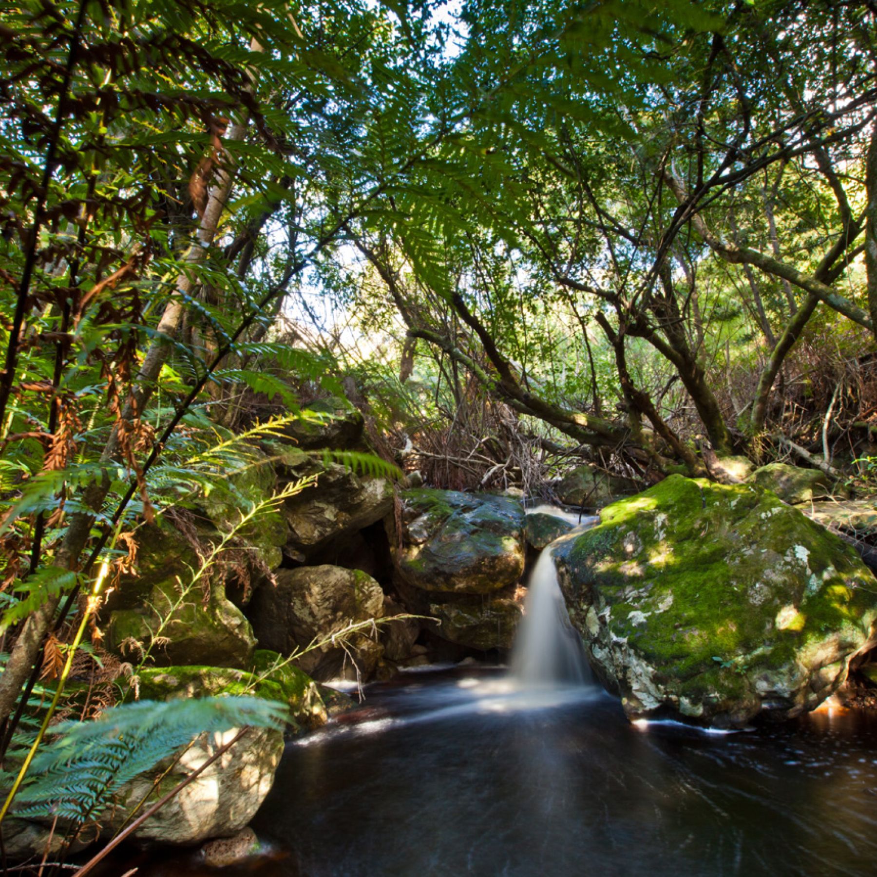 Home | Land and freshwater ecosystems