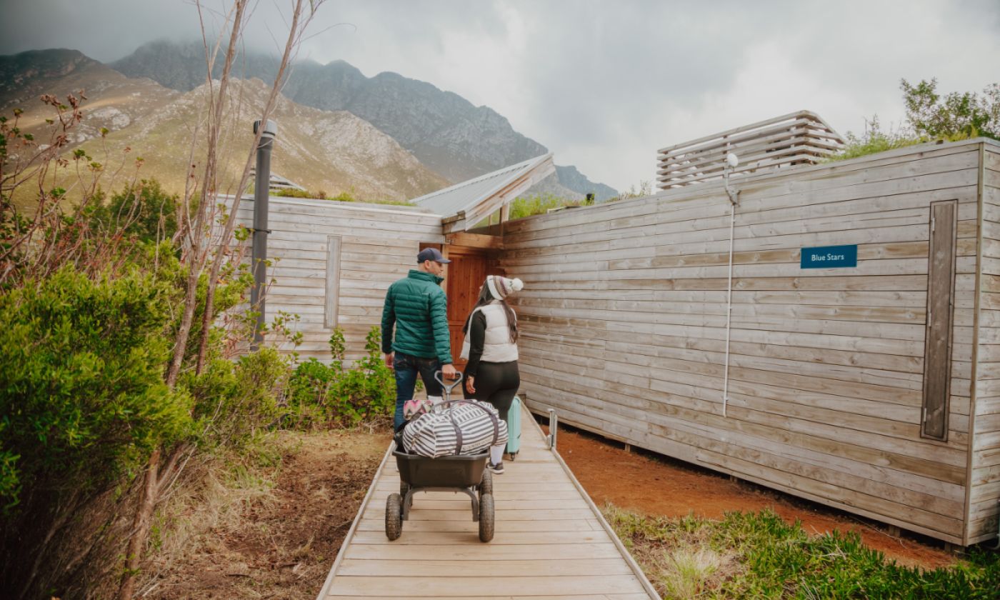 Firewood prohibited in all CapeNature reserves as a biodiversity ...