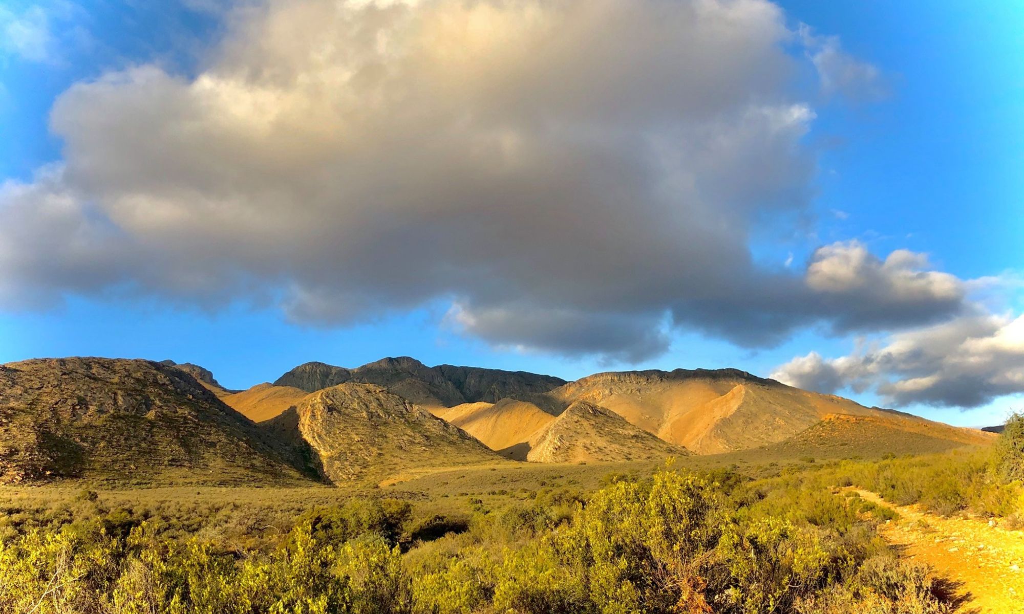 New Lettas Kraal Nature Reserve declared in Succulent Karoo