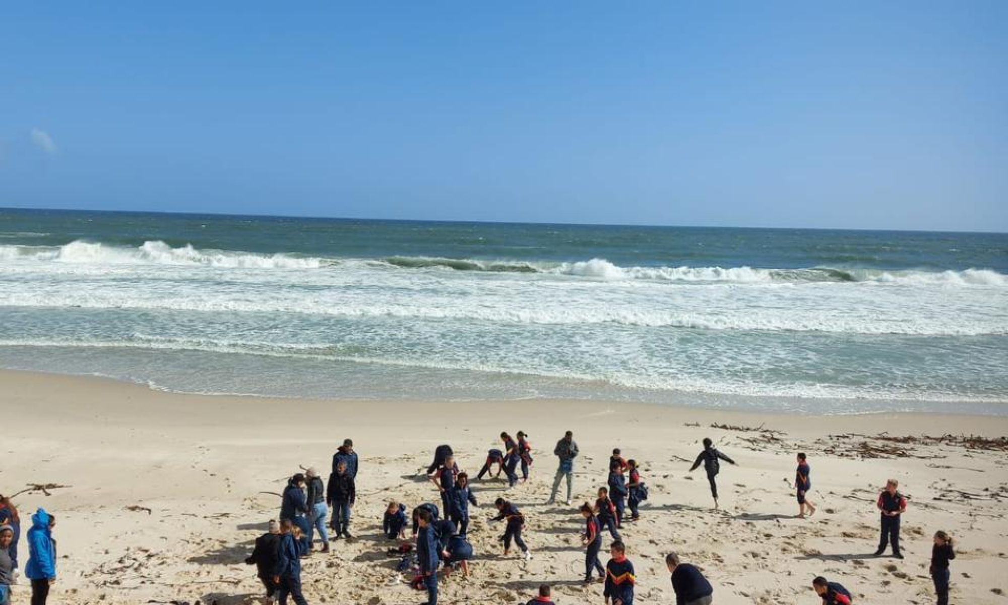 Firewood prohibited in all CapeNature reserves as a biodiversity ...