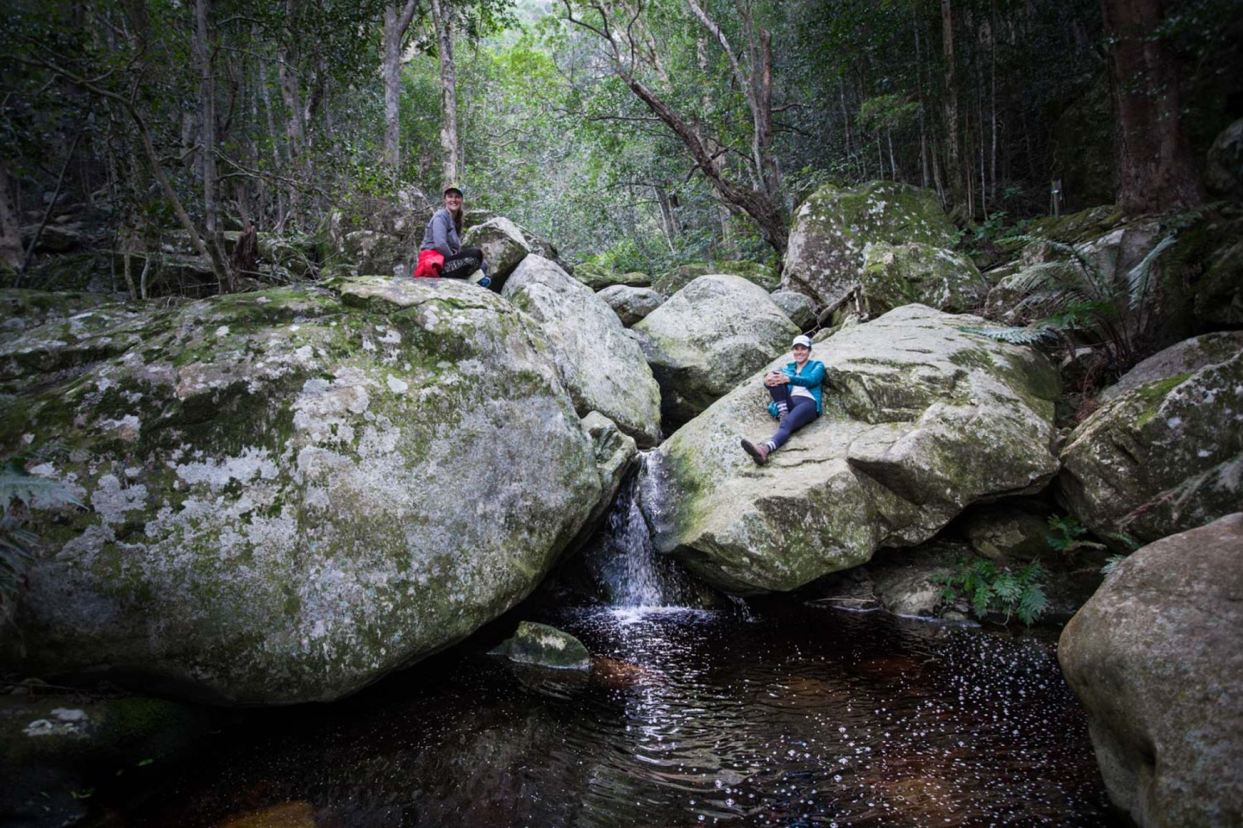 Escape to Marloth Nature Reserve