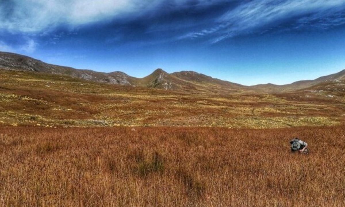 Western Cape expands protected areas with Mount David Reserve