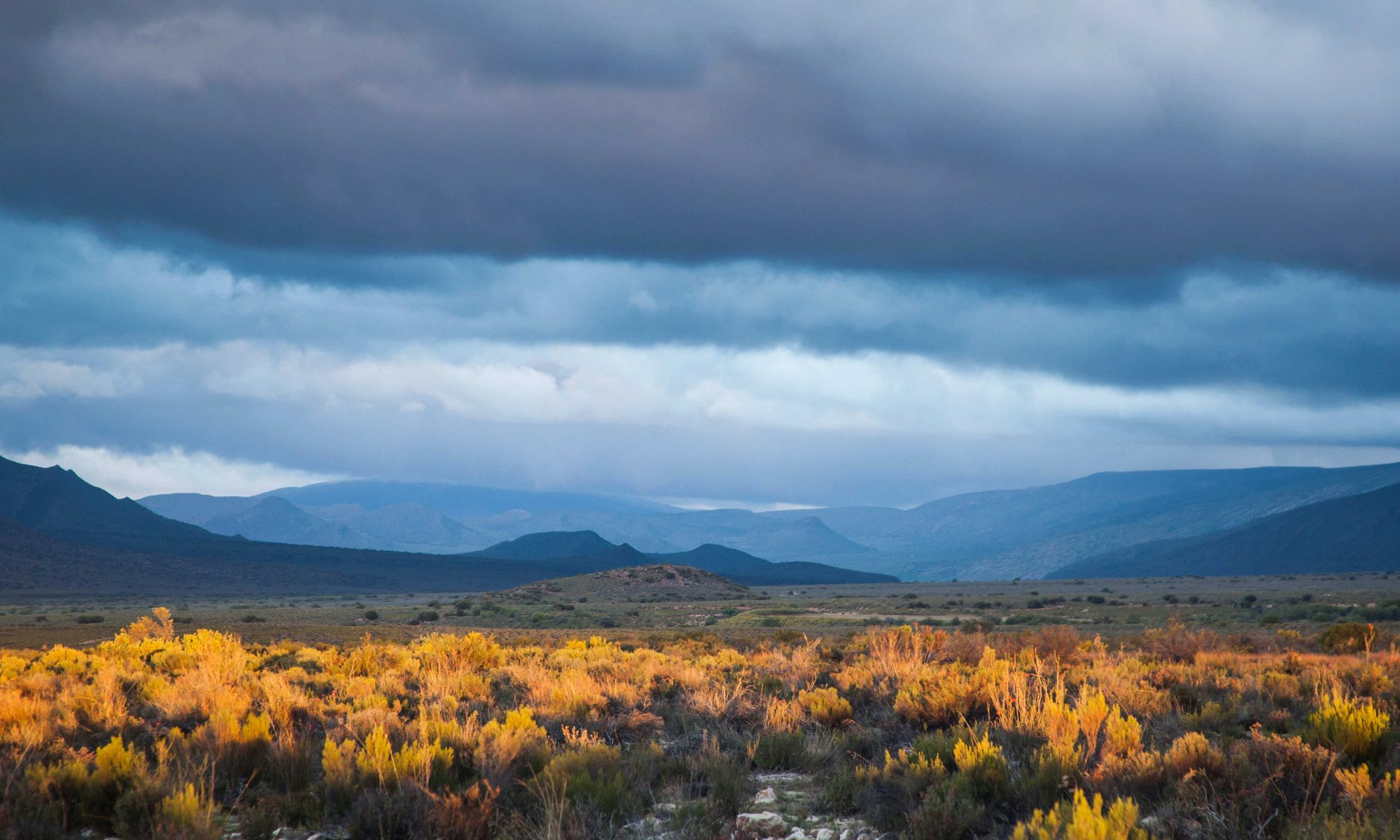 News | Minister De Lille hands over Infrastructure Maintenance Project ...