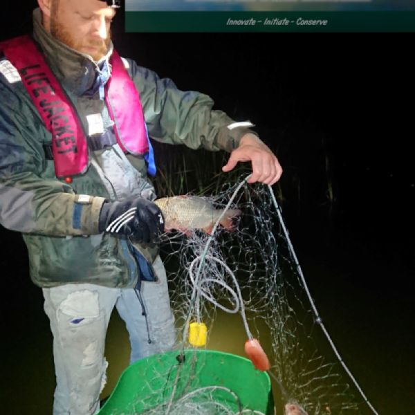 Groenvlei Carp Project