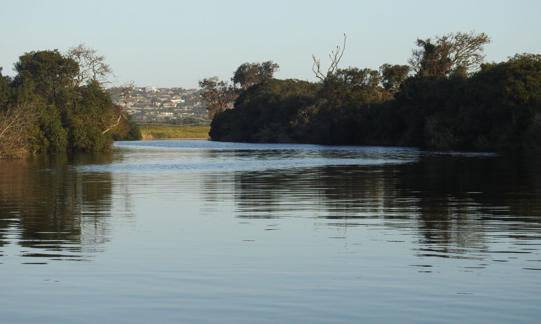 Estuaries between drought and flood