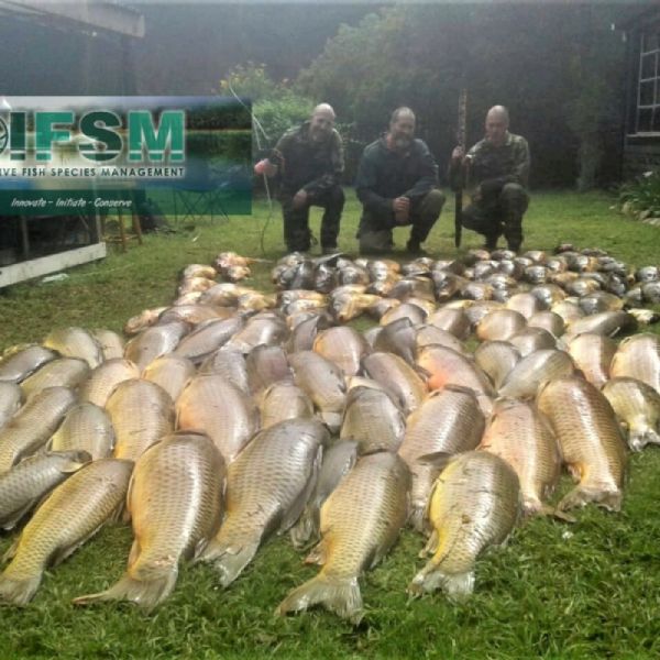 Groenvlei Carp Project