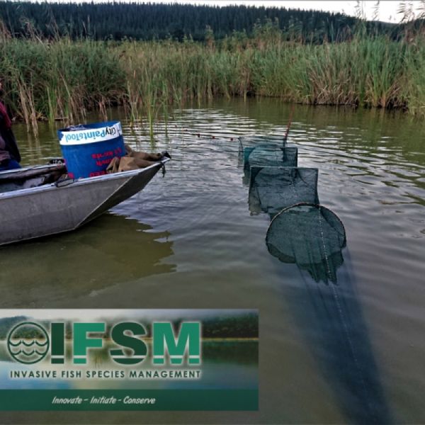 Groenvlei Carp Project