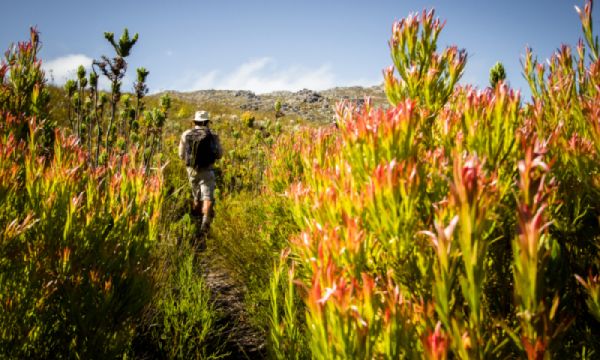 Unplug and get all-year access to 24 CapeNature reserves - Capenature