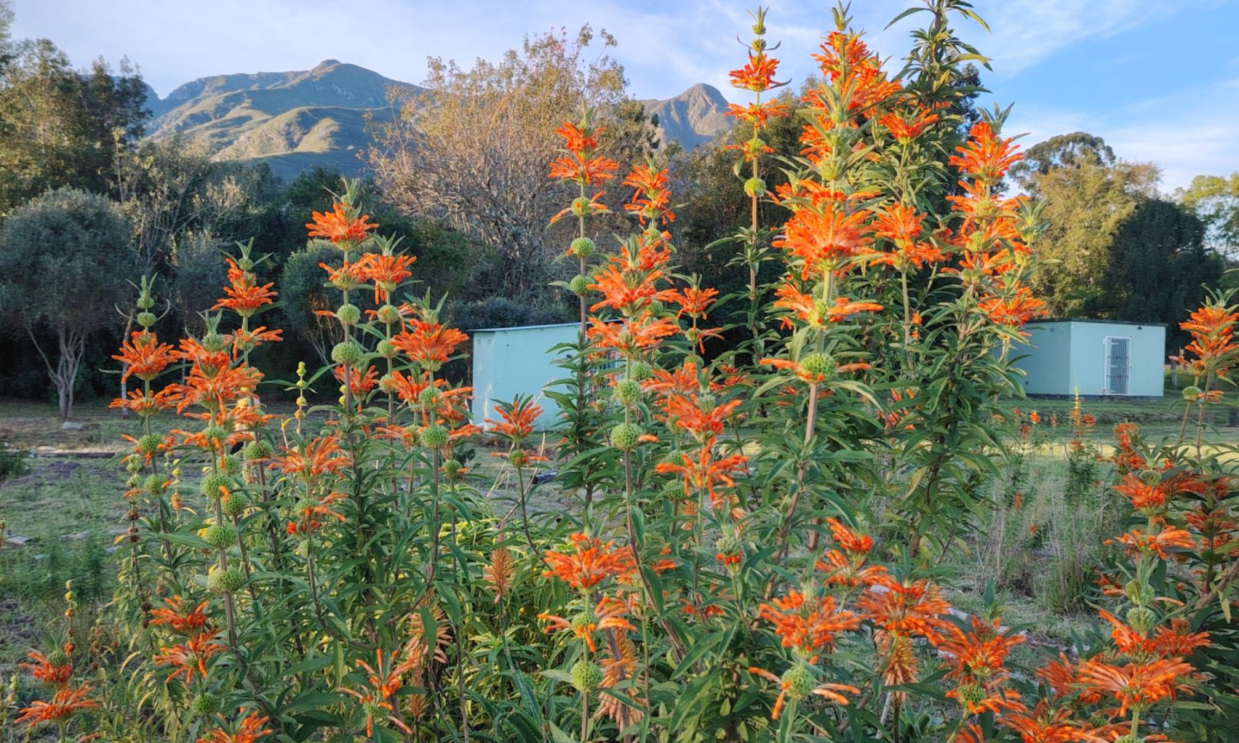 News | Minister De Lille hands over Infrastructure Maintenance Project ...