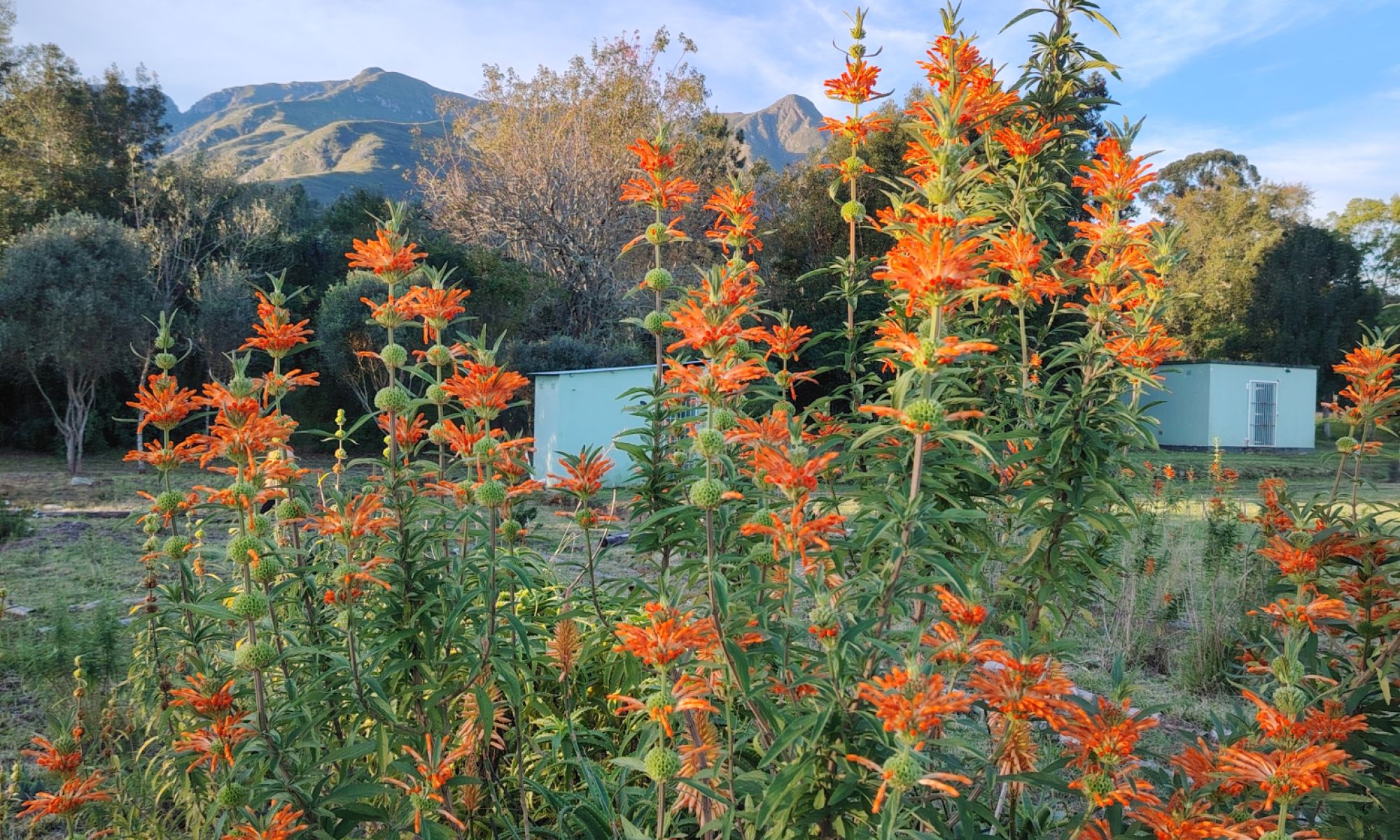 CapeNature engages George community on Outeniqua Nature Reserve fees
