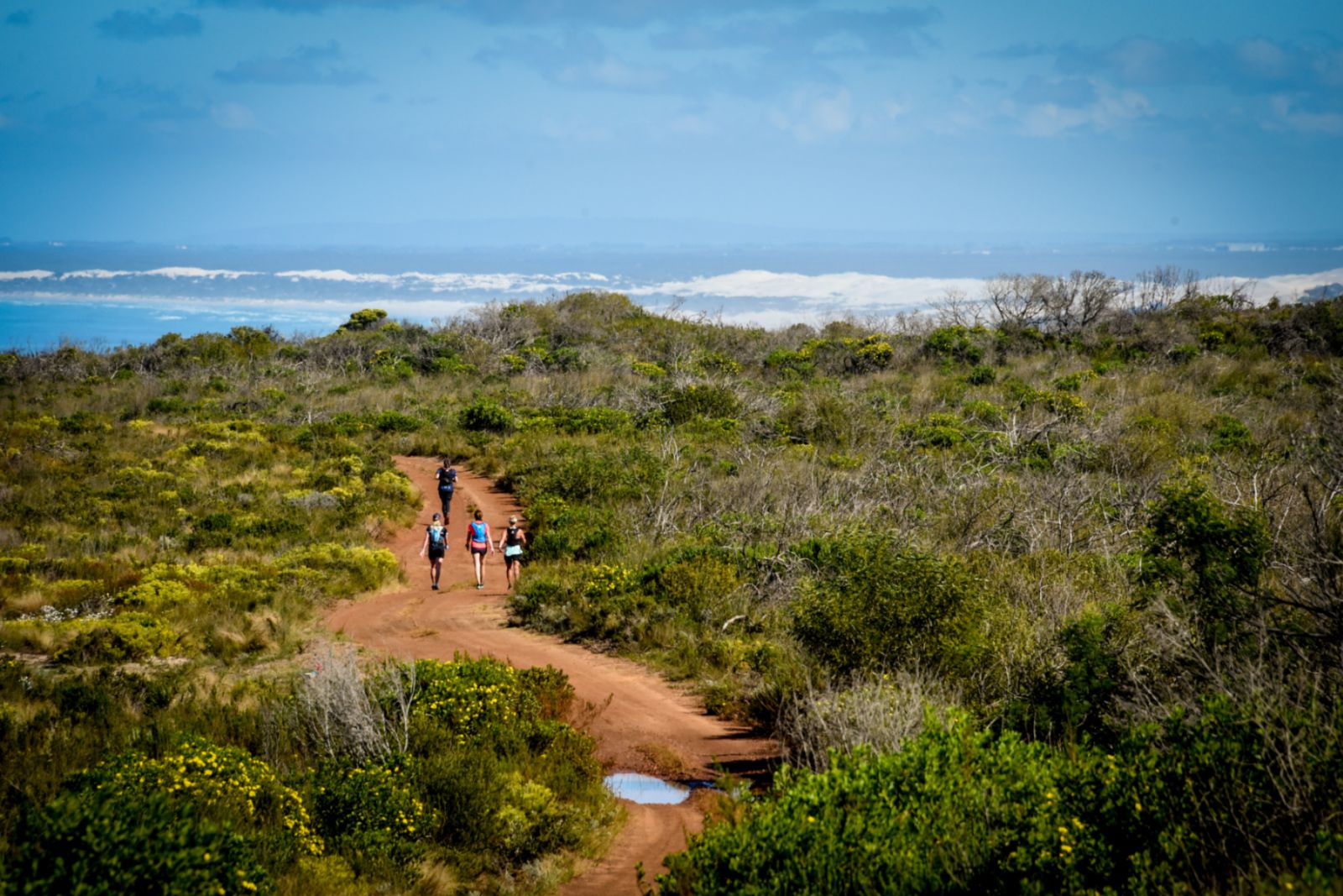 Home | Permits overview