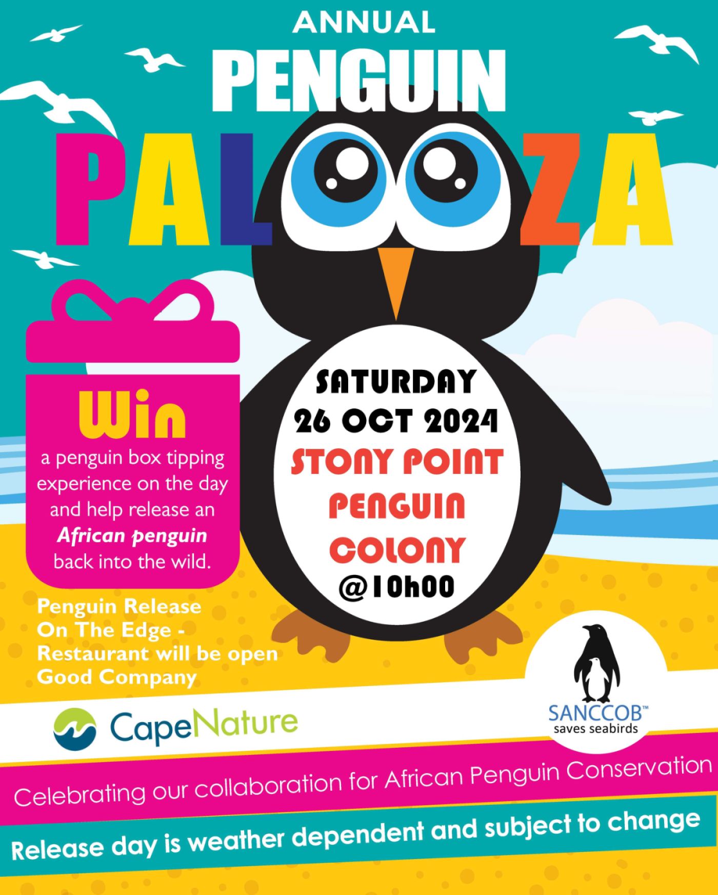 News | Join the effort to protect the African Penguin at Penguin Palooza 2024 and WIN the ...