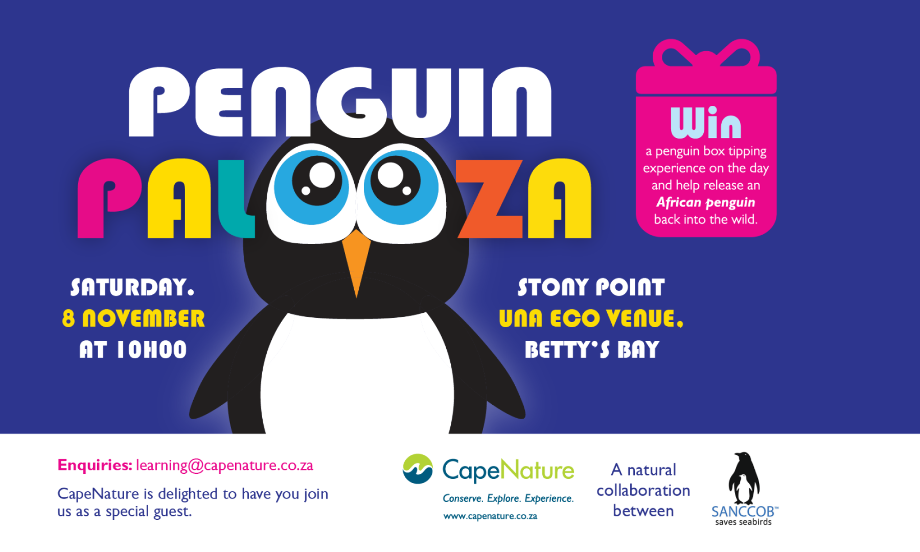 Make space in your heart for penguins at Penguin Palooza 2025