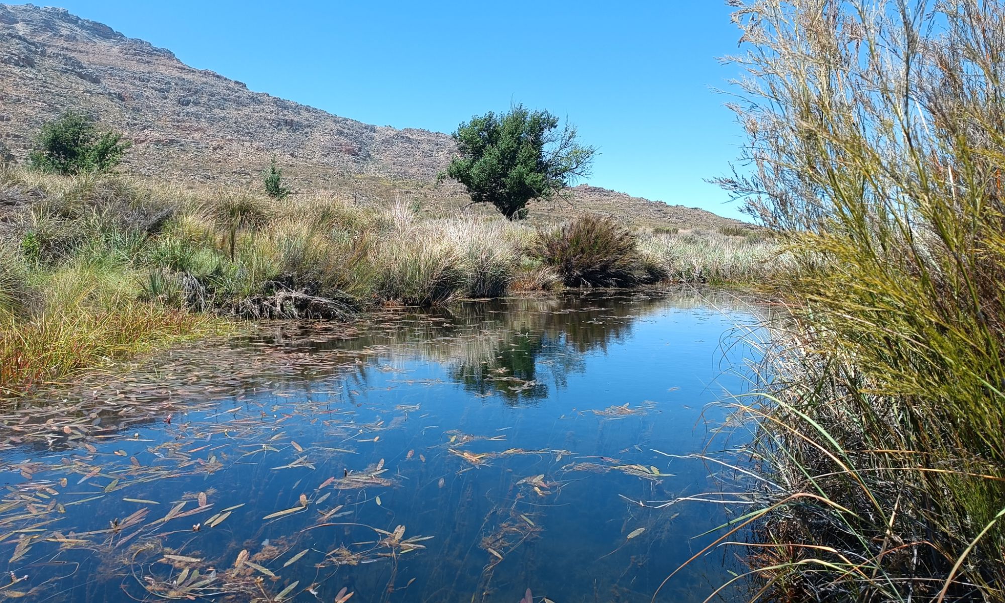 Water Quality Monitoring by Capenature in the Cederberg Nature Reserve ...