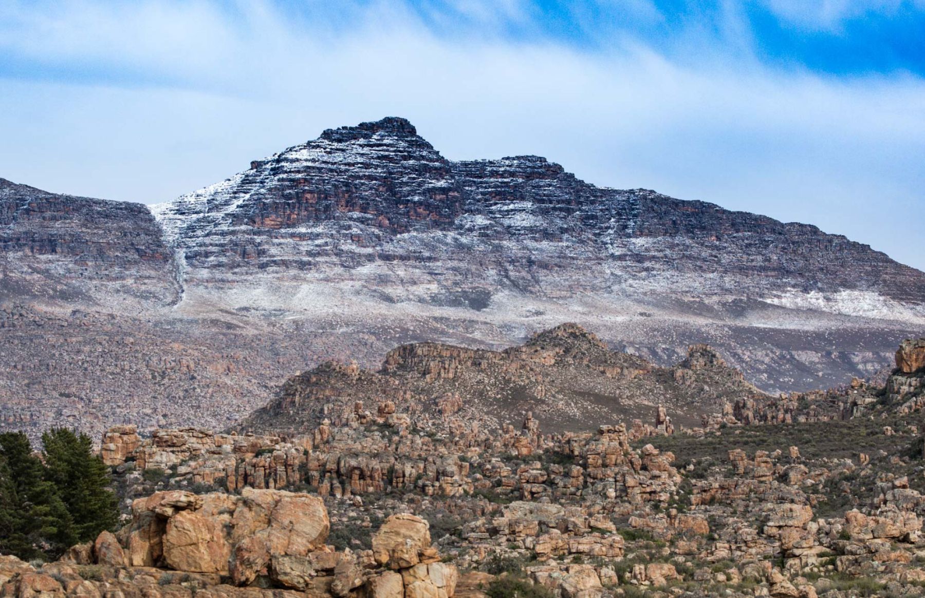 Conservation | Cederberg Wilderness Conservation