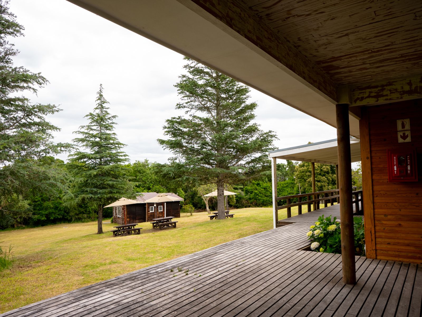 Reserves | Grootvadersbosch Nature Reserve