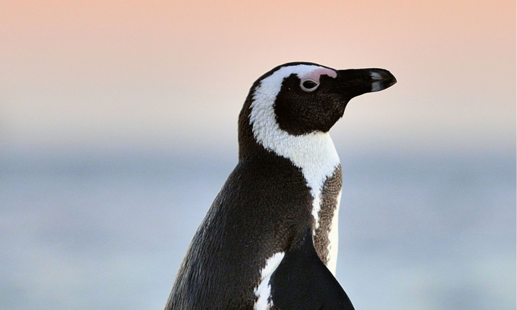 News | Minister De Lille hands over Infrastructure Maintenance Project ...