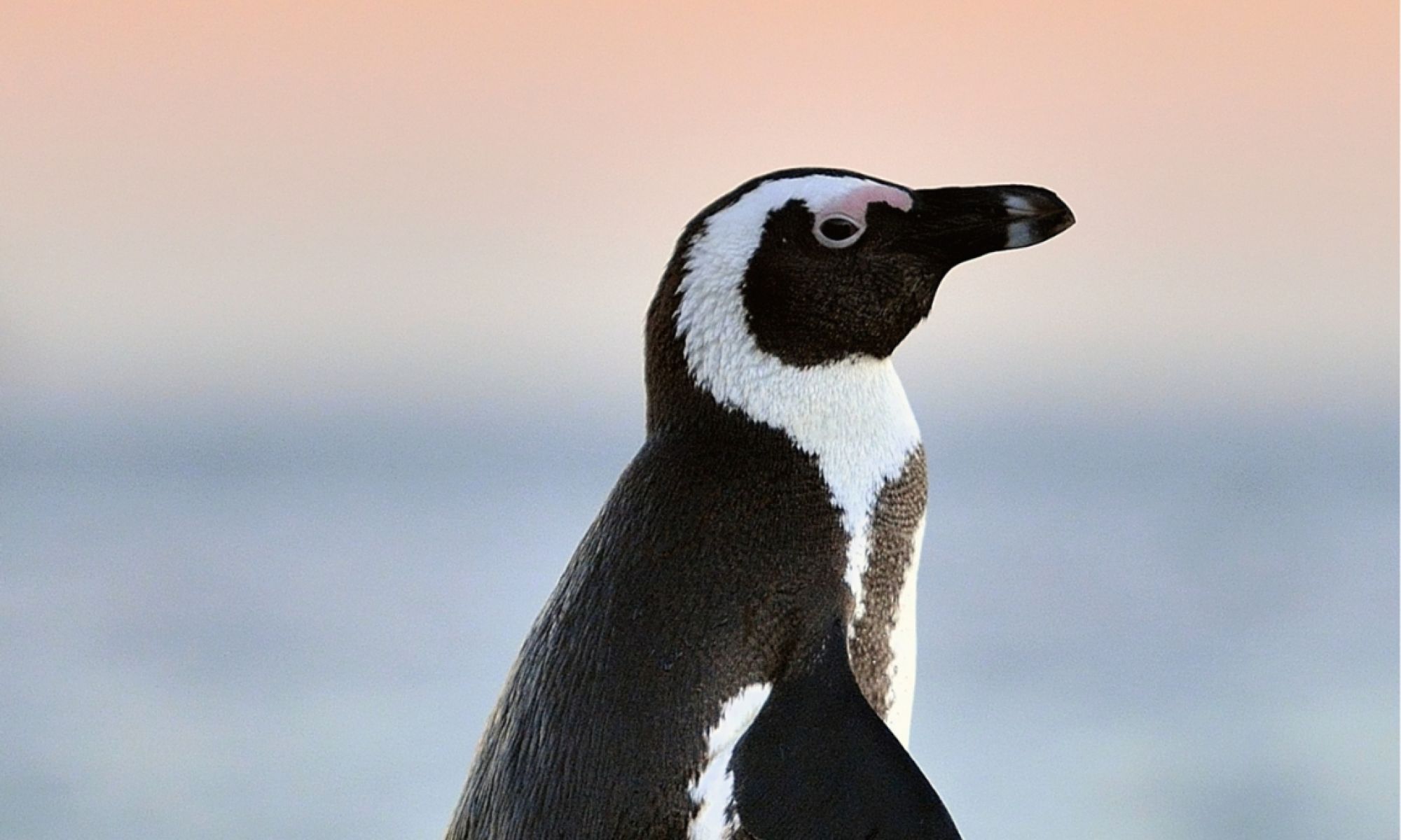 News | Minister De Lille hands over Infrastructure Maintenance Project ...