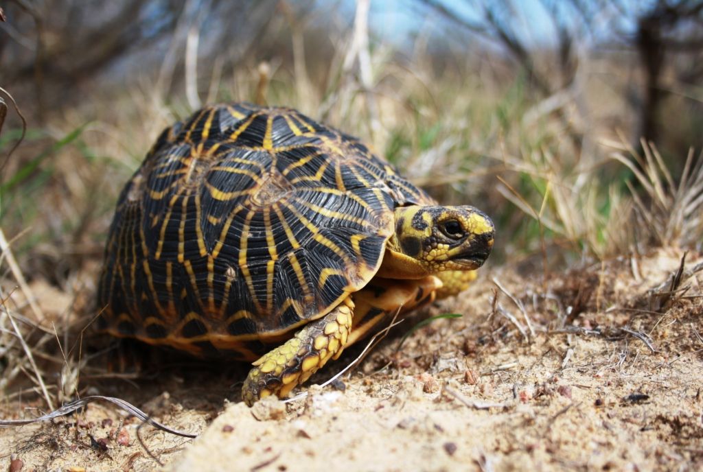 Resources | Down, but not out: Recent decline of Berg-Breede River ...