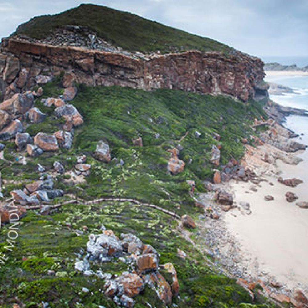 Reserves | Robberg Nature Reserve