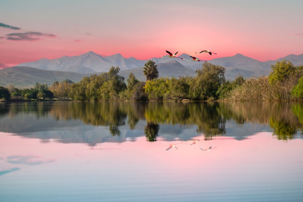 CapeNature – Nature Reserves & Eco-Tourism in the Cape