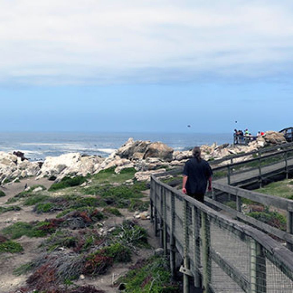 Reserves | Stony Point Nature Reserve