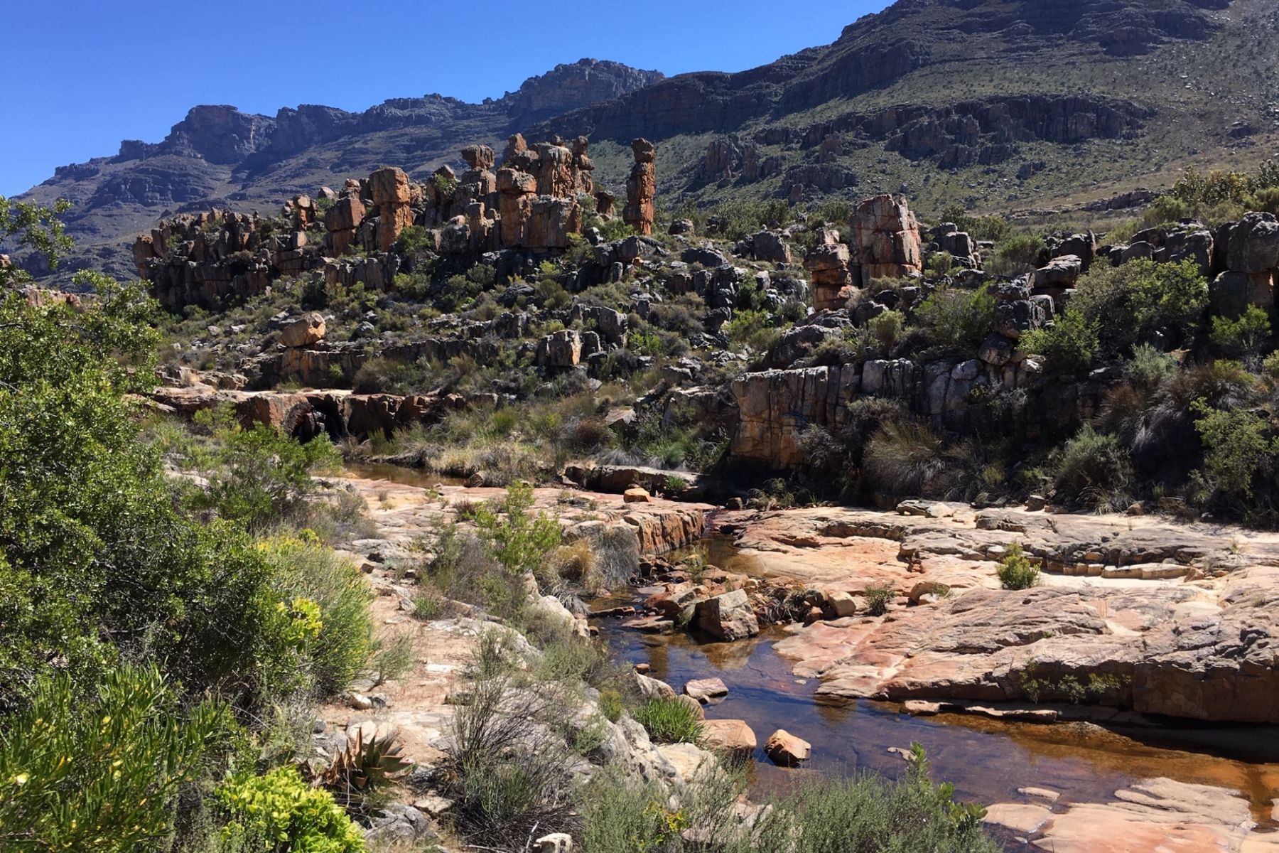 Conservation work we do | Protected areas and stewardship