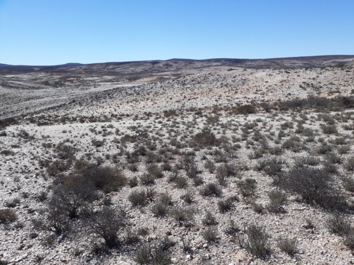The Succulent Karoo Biome – the World's Only Arid Hotspot