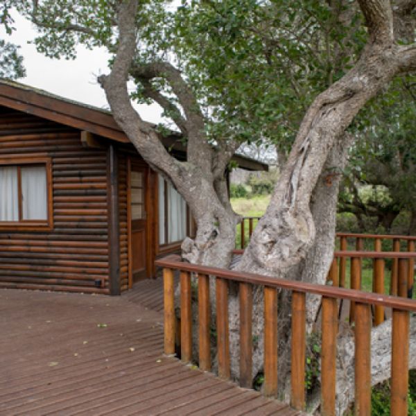 Accommodation | Buffalo Valley - Vlei Lodge