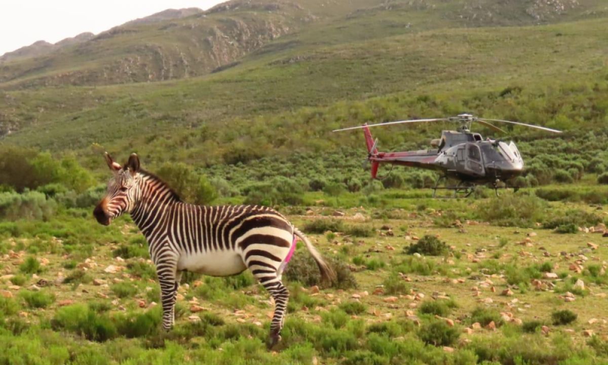 Western Cape Protected Area Expansion Strategy 2021-2025 – Capenature