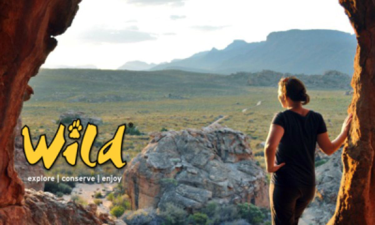 Home | How To Get A Wild Card