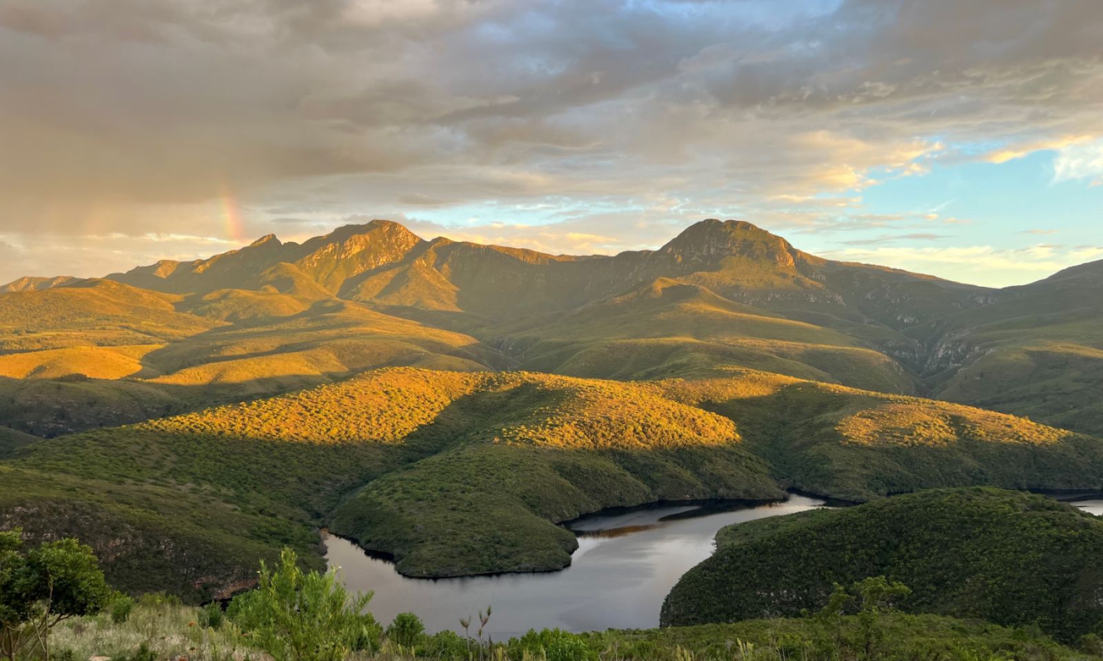 Firewood prohibited in all CapeNature reserves as a biodiversity ...