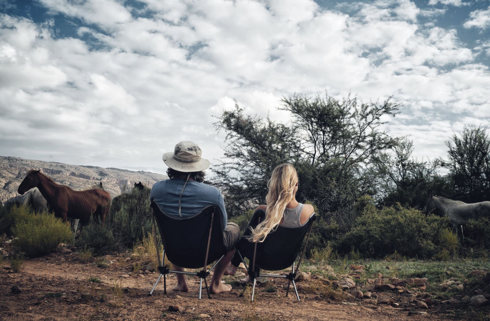 Conservation | Anysberg Nature Reserve Conservation