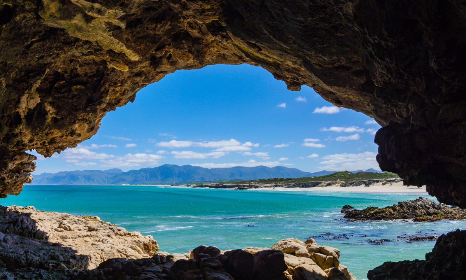 Firewood prohibited in all CapeNature reserves as a biodiversity ...